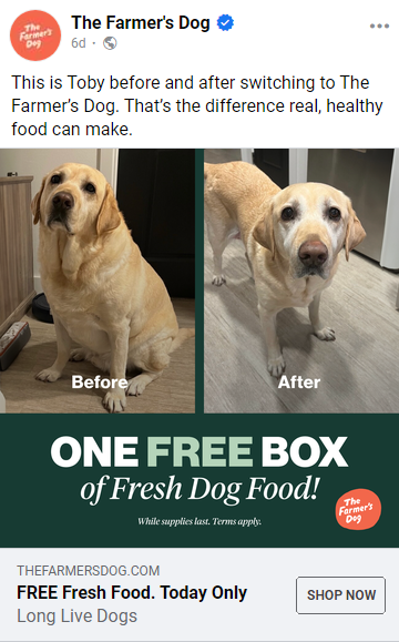 Direct to Consumer Advertising: 13 Ideas & 60+ Ad Examples